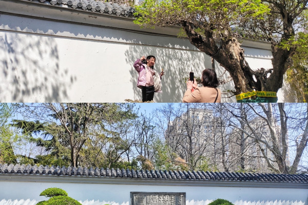 The Gui Zhen Garden is full of spring | Trip.com Weifang
