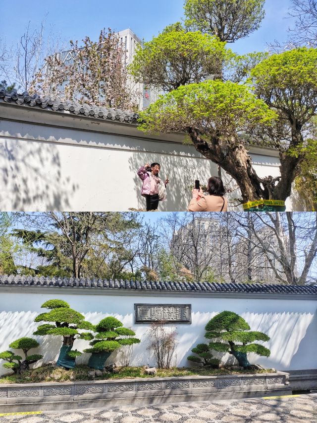 The Gui Zhen Garden is full of spring | Trip.com Weifang