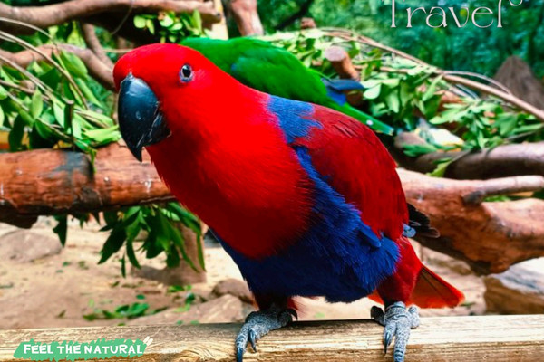 Guangzhou Zoo: Animal Contact and Recreation | Trip.com Guangzhou