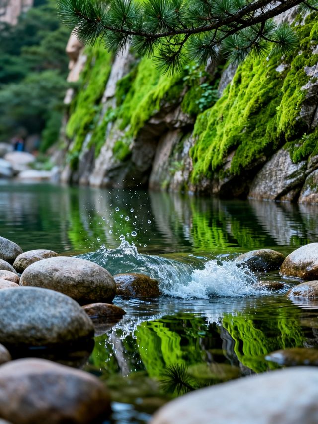 Live in the sea breeze, a 20℃ seaside summer is so healing | Trip.com ...