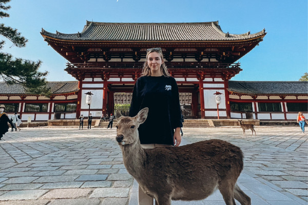 Nara Park Guide～ Day Trip from Kyoto 🦌🇯🇵 | Trip.com Nara City