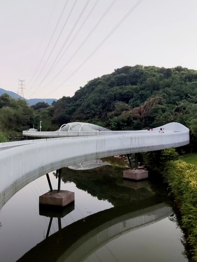 Wow, really don't come! The most beautiful greenway in Henggang Liuyue ...