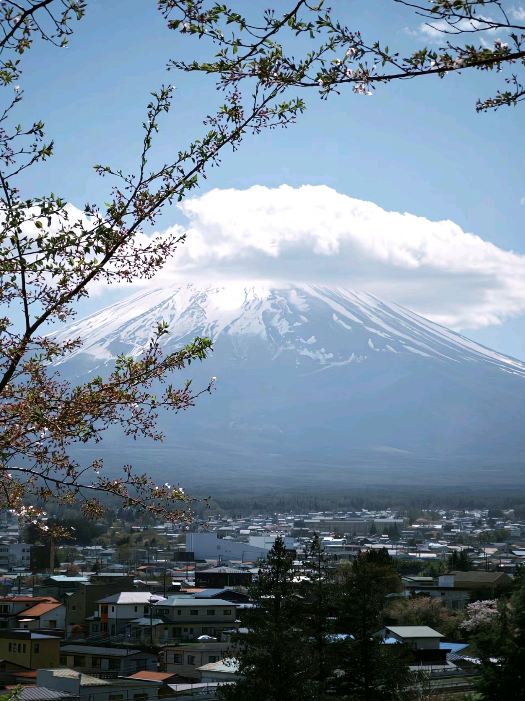 Things to Do in Fujinomiya in 2024 - Top Attractions, Local Food ...