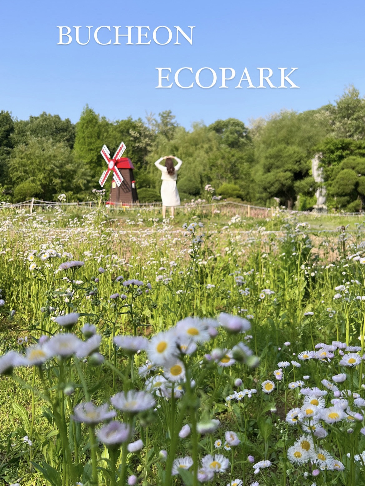 Things to Do in Bucheon-si in 2024 - Top Attractions, Local Food ...