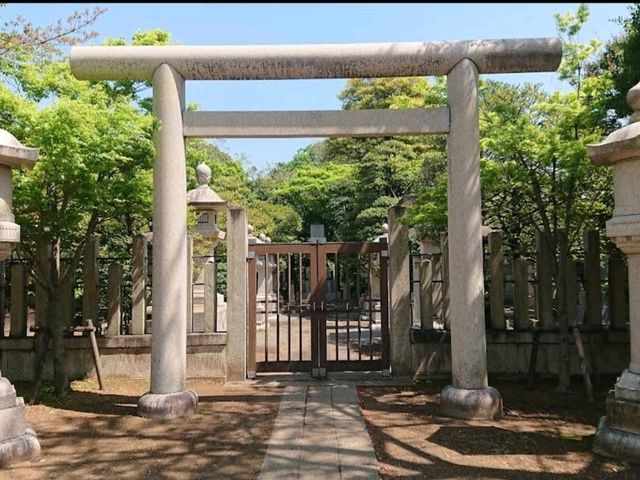 Shogun Temple in Japan -Gokokuji Temple | Trip.com Tokyo