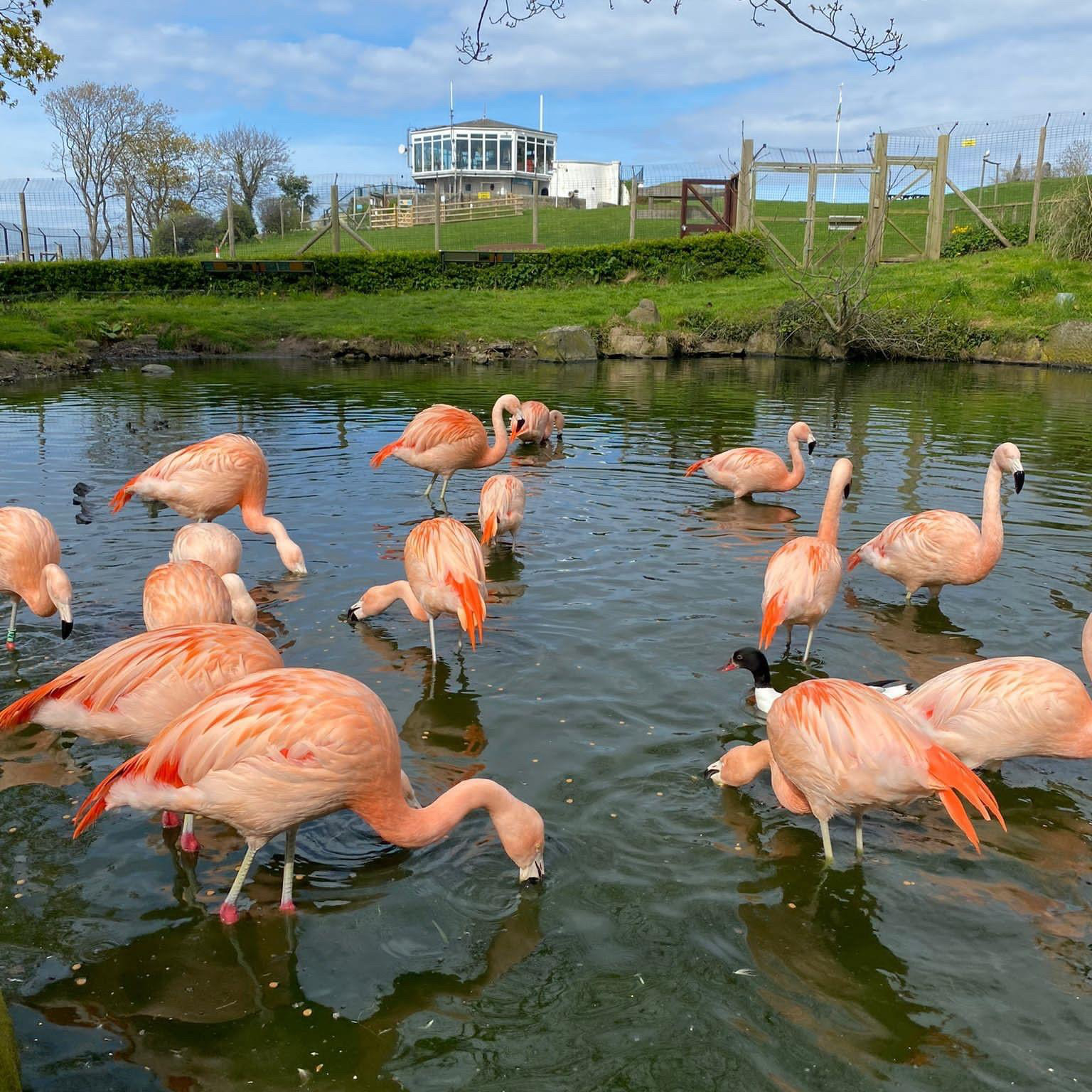 Colwyn Bay Travel Guide 2024 - Things to Do, What To Eat & Tips | Trip.com