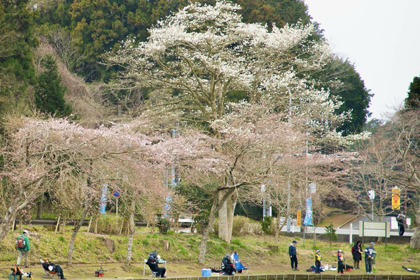 Lake Higashiyama Fishing Area | Trip.com Gotemba