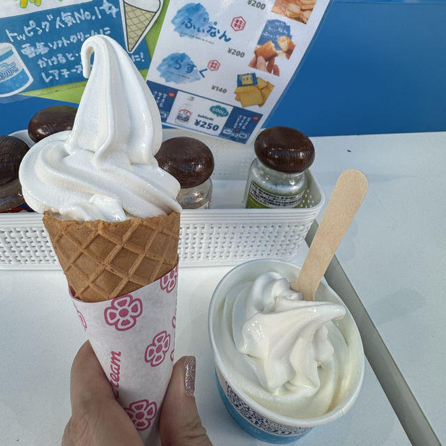 Must-Try Okinawan Snacks ~ Salty Ice Cream? 🍦 | Trip.com Okinawa