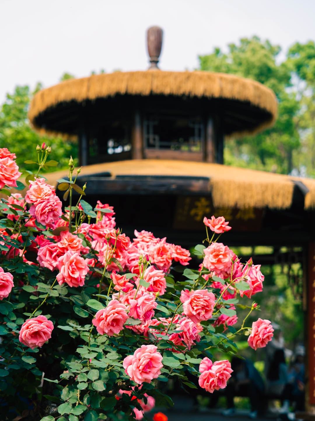 Things to Do in Pinghu in 2024 - Top Attractions, Local Food, Hotels ...