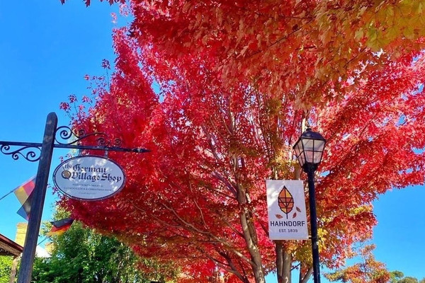 Famous autumn foliage in Adelaide | Trip.com Adelaide