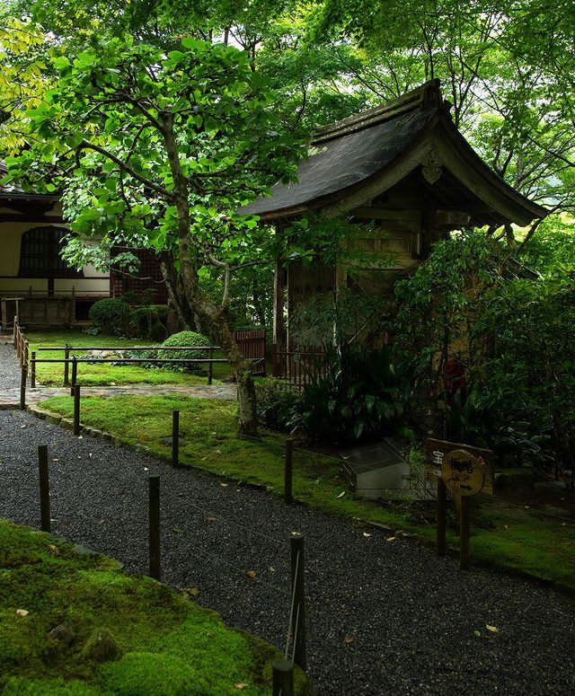 Take a pleasant short stroll | Trip.com Kyoto