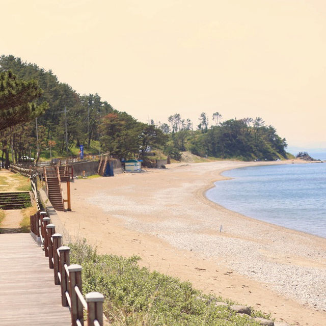 Heunghwangani Beach: A Quiet Hidden Gem | Trip.com Nam-gu