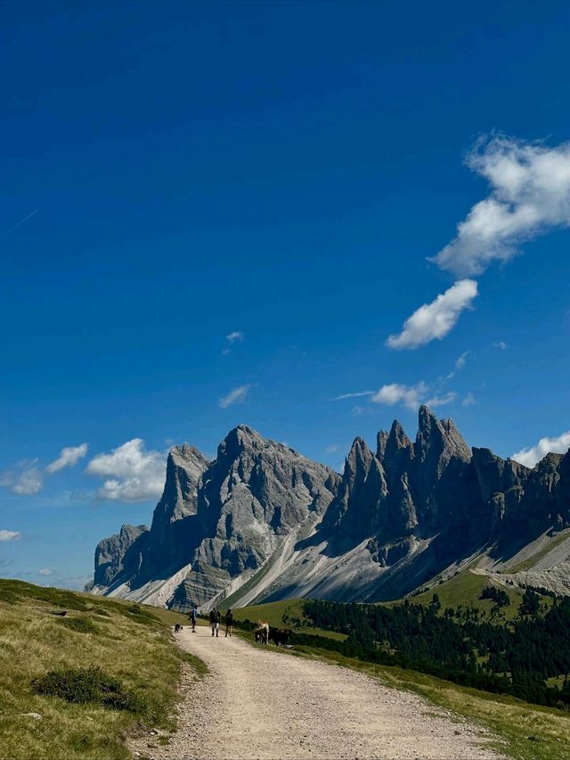 Majestic Peaks⛰️ | Trip.com Yulong Snow Mountain Scenic Area