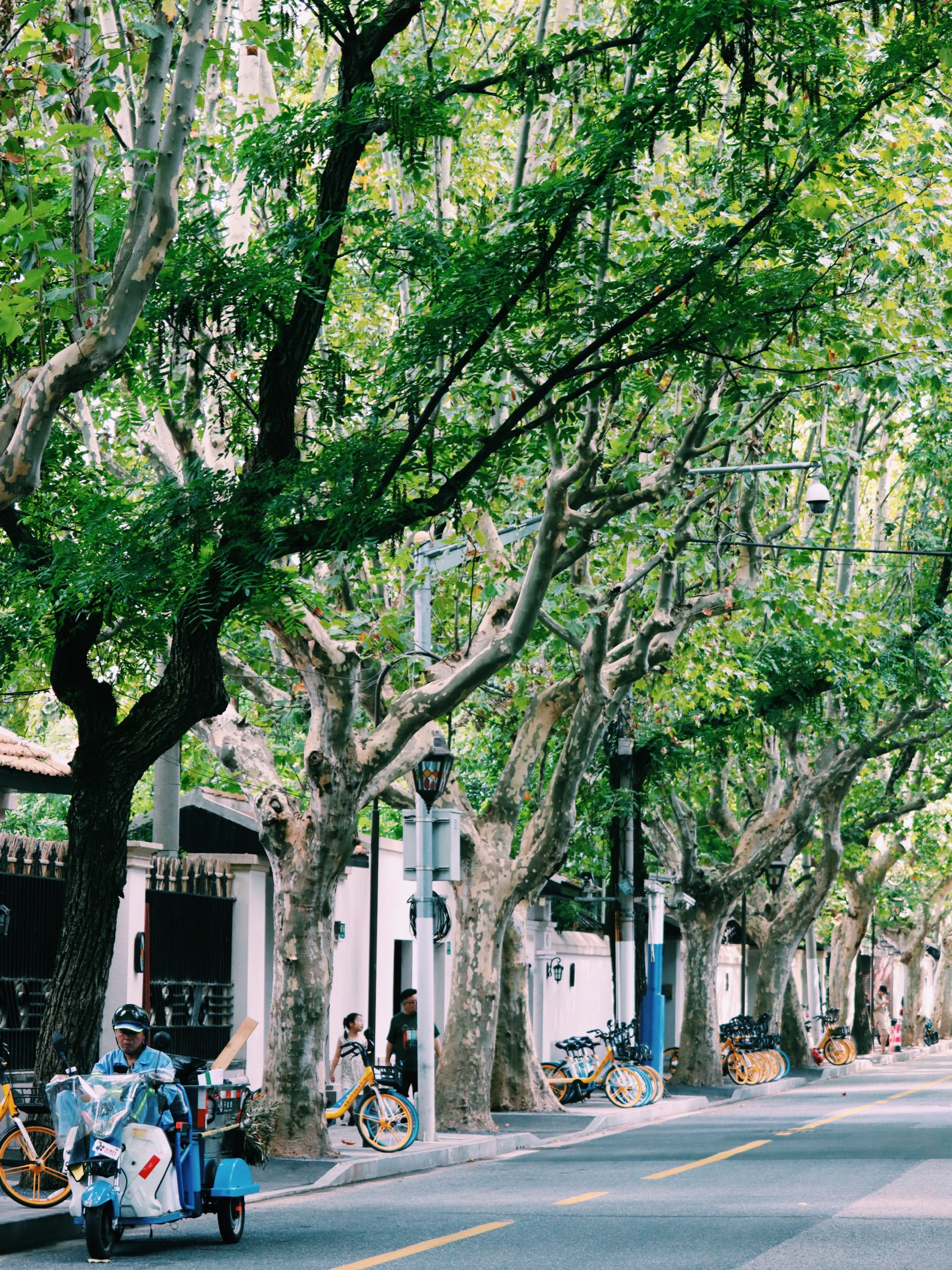 Xuhui District Travel Guide 2024 - Things to Do, What To Eat & Tips ...