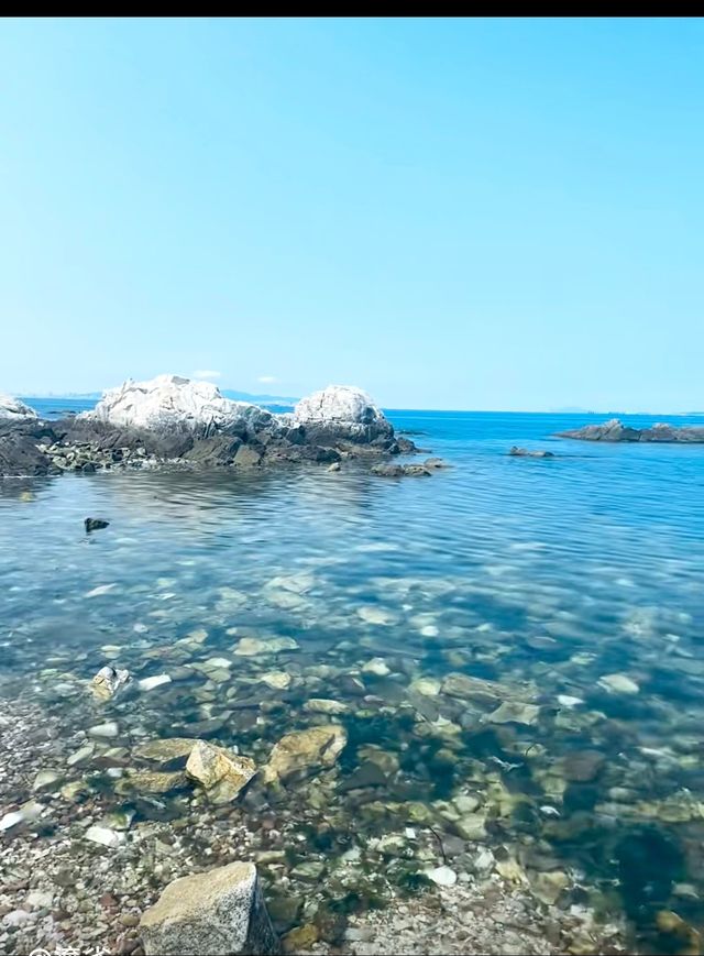 養馬島純乾貨攻略｜交通+美食+住宿一篇搞定，不繞路不踩坑！｜Trip.com 煙台