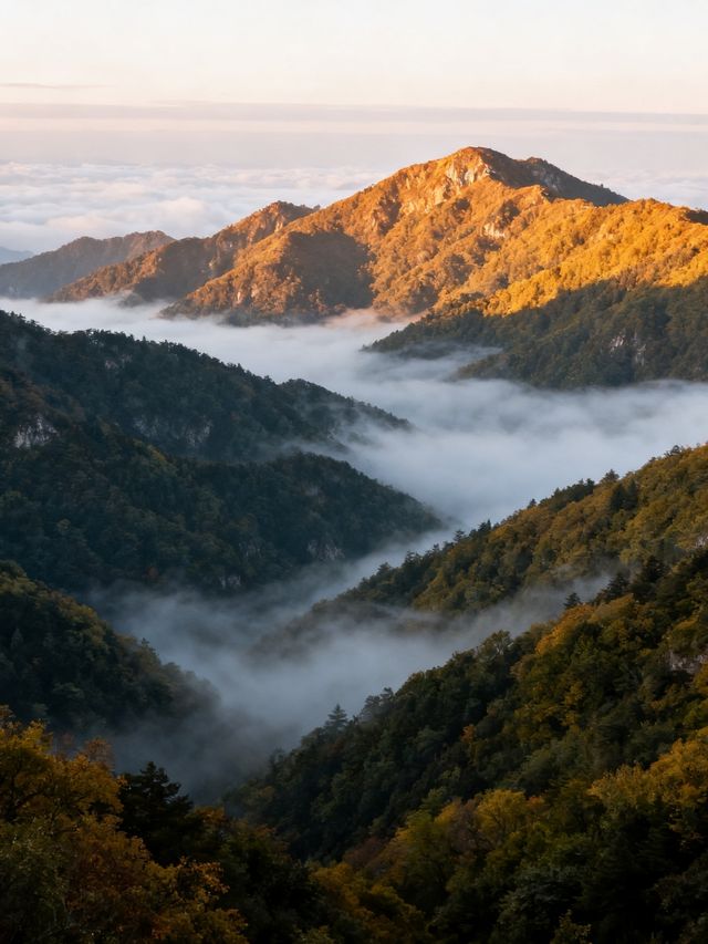 柞水｜6 月避暑秘境！西安 1.5h 直達的天然冷氣房｜Trip.com 柞水