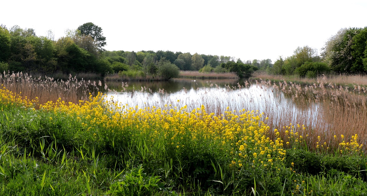 Things to Do in Bozhou in 2025 - Top Attractions, Local Food, Hotels ...