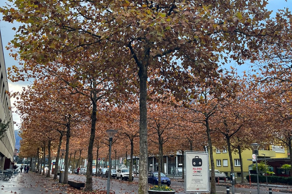 Fall along the road, autumn never leaves | Trip.com Interlaken