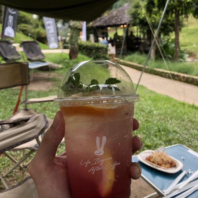 WTF Coffee Camp, Chiang Mai, Thailand 🇹🇭 | Trip.com Chiang Mai Ancient City