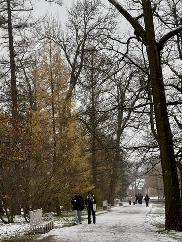 Hermitage Walks Catherine Park — A Stroll Through Imperial Elegance in ...