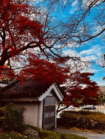 Architectural Zen🌳 | Trip.com Seoul