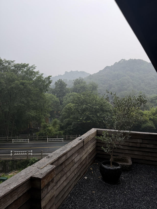 杭州｜雨天進山吸氧吃乾淨飯｜Trip.com 杭州