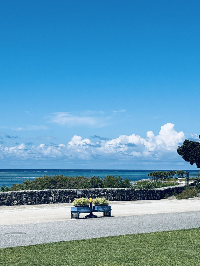 I Listen to Gentle Autumn Winds in Motobu Seaside Pines | Trip.com Motobu