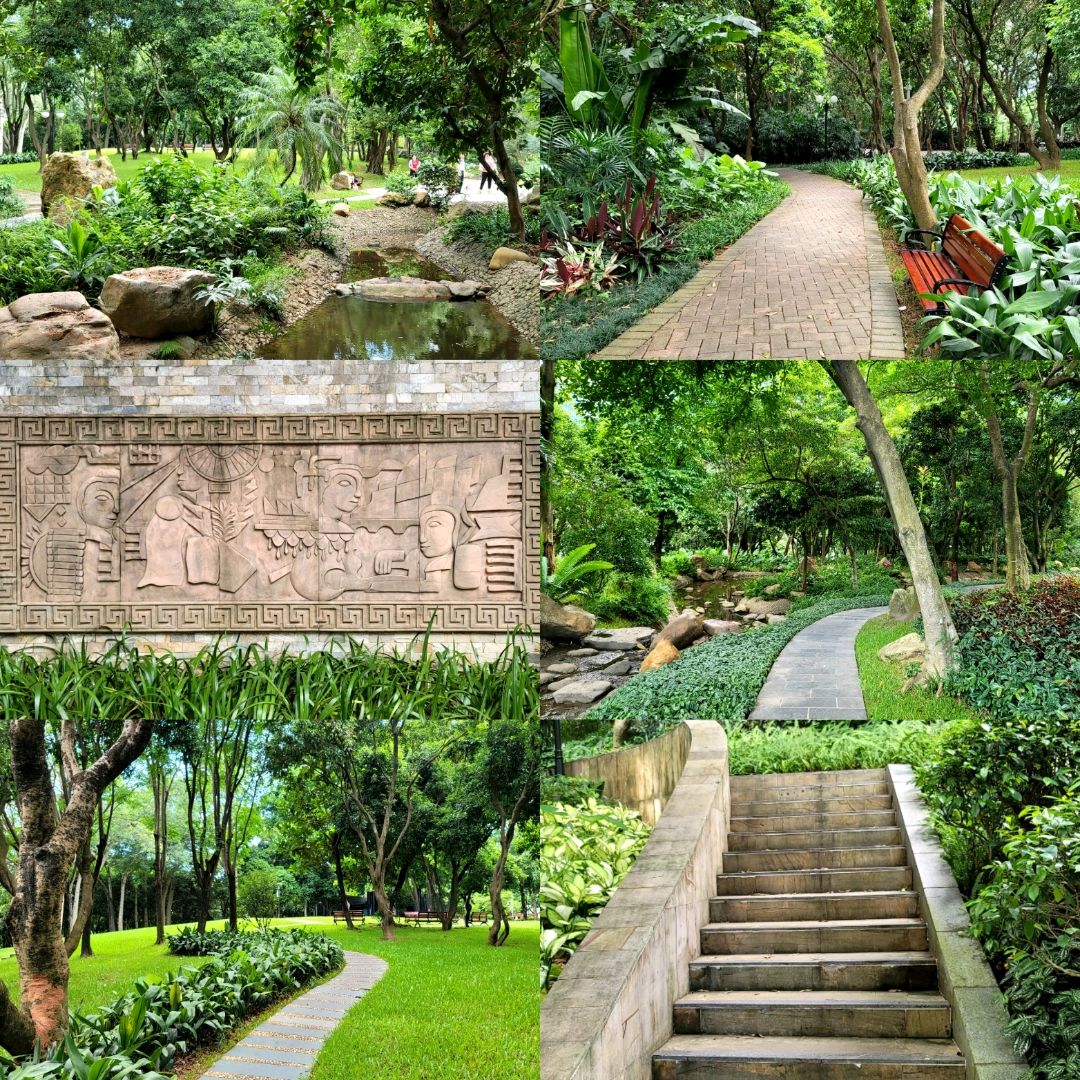 Things to Do in Futian District in 2024 - Top Attractions, Local Food ...