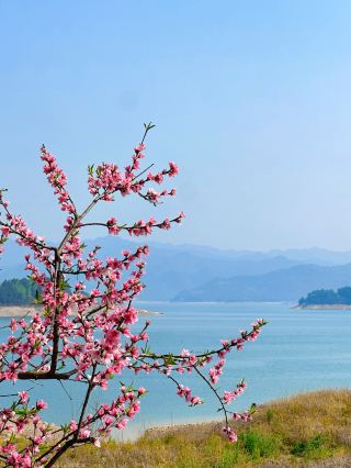 Things to do in Yuhou Street (2025): Top nearby activities,popular ...