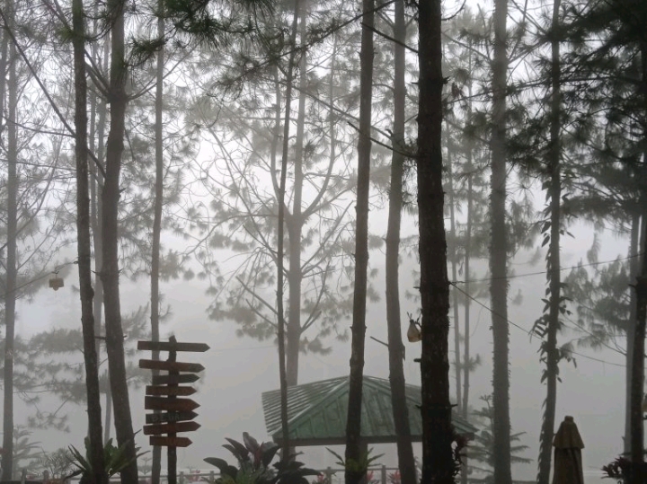 Marilog Travel Guide 2024 - Things to Do, What To Eat & Tips | Trip.com