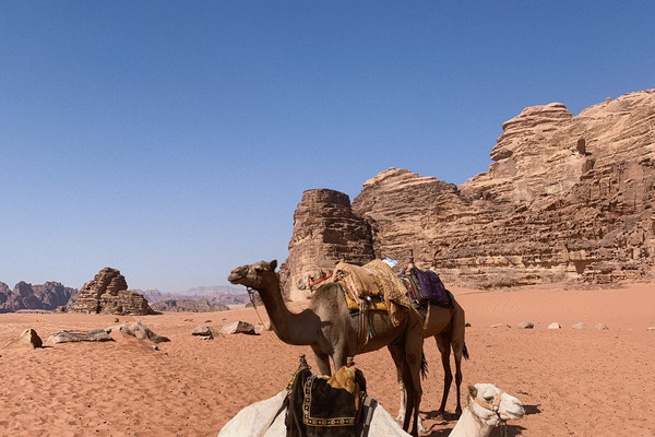 A Day in Wadi Rum: Jeep Adventure & Sleeping Under the Stars in a ...