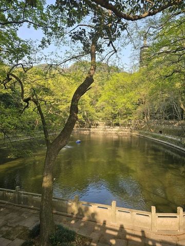 วัดเทียนตง (Tiantong Temple)｜Trip.com 寧波