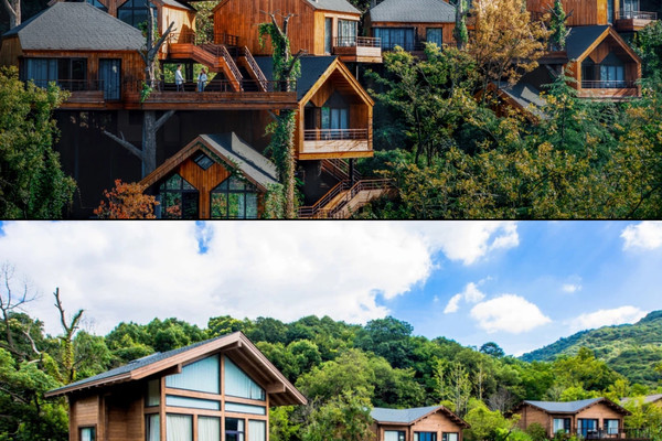 Hangzhou Kaiyuan Senbo Resort Hotel | Starry sky cabins scattered in ...