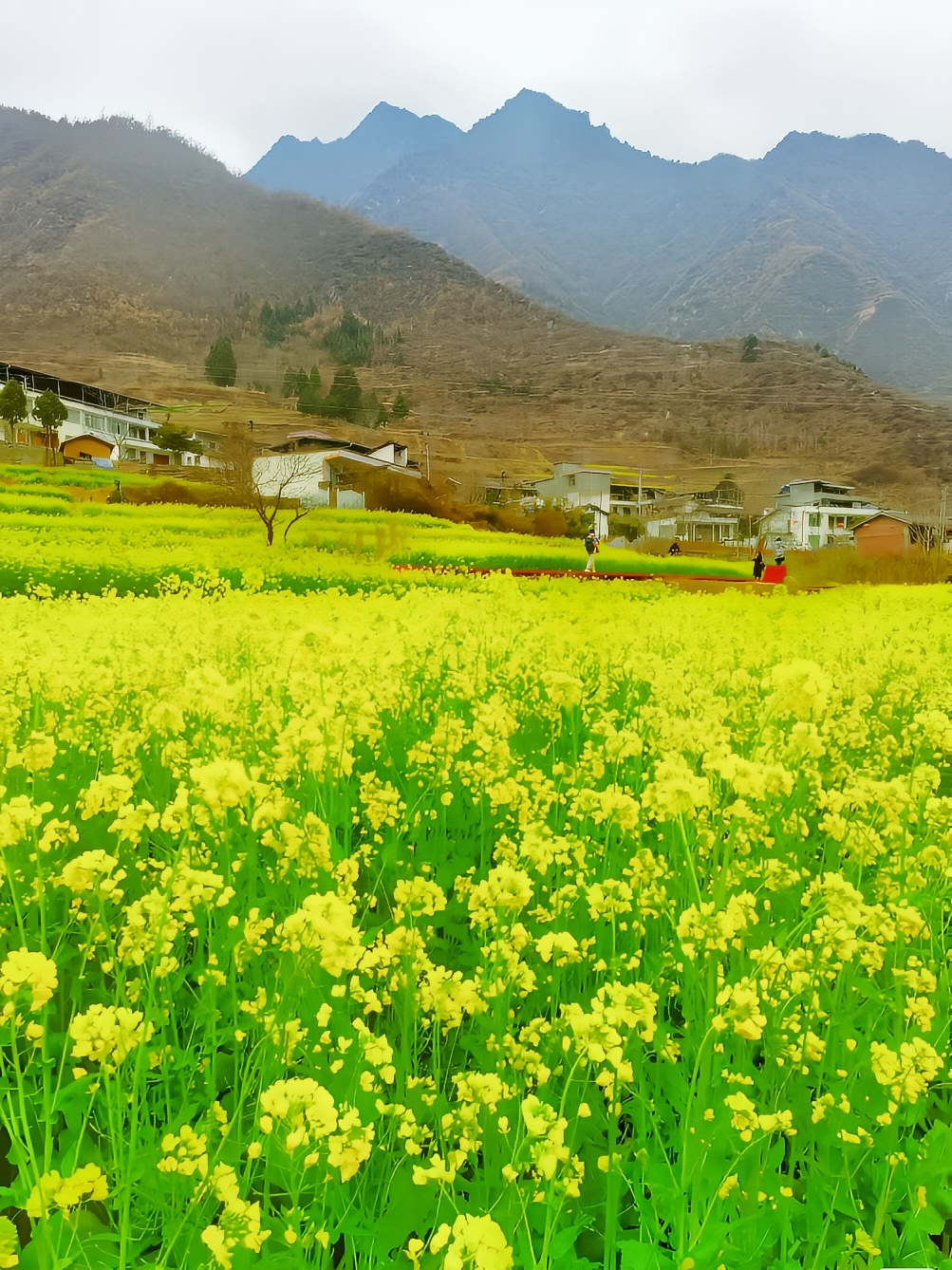 Things to Do in Longnan in 2025 - Top Attractions, Local Food, Hotels ...