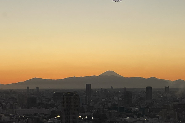 Spectacular view from Tokyo tower | Trip.com Tokyo