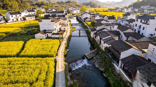 婺源油菜花詳細攻略｜3月賞花不踩坑，路線穿搭全整理｜Trip.com 婺源