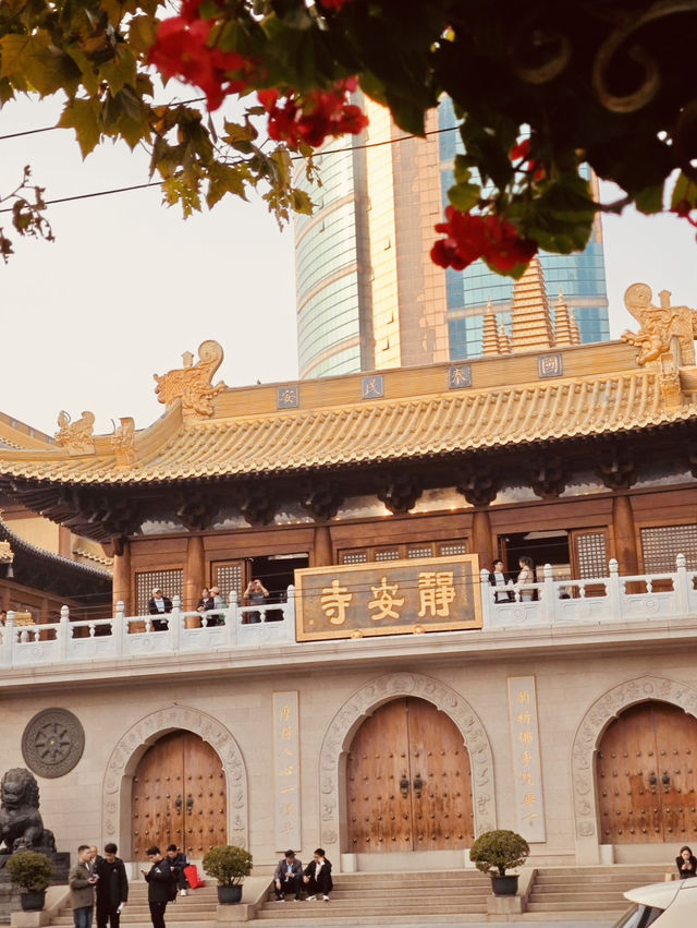 Golden Roof Charm🌞 | Trip.com Shanghai