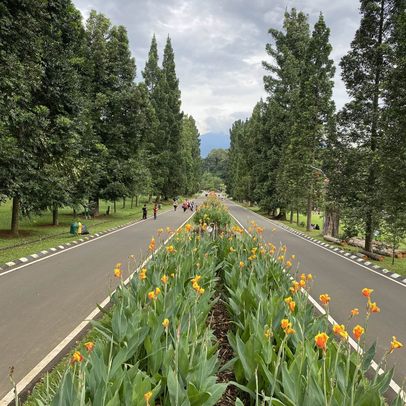 Central Bogor 2023 Top Things to Do - Central Bogor Travel Guides - Top ...