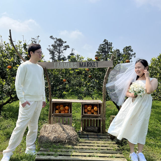 Jeju Prewed | Trip.com Jeju