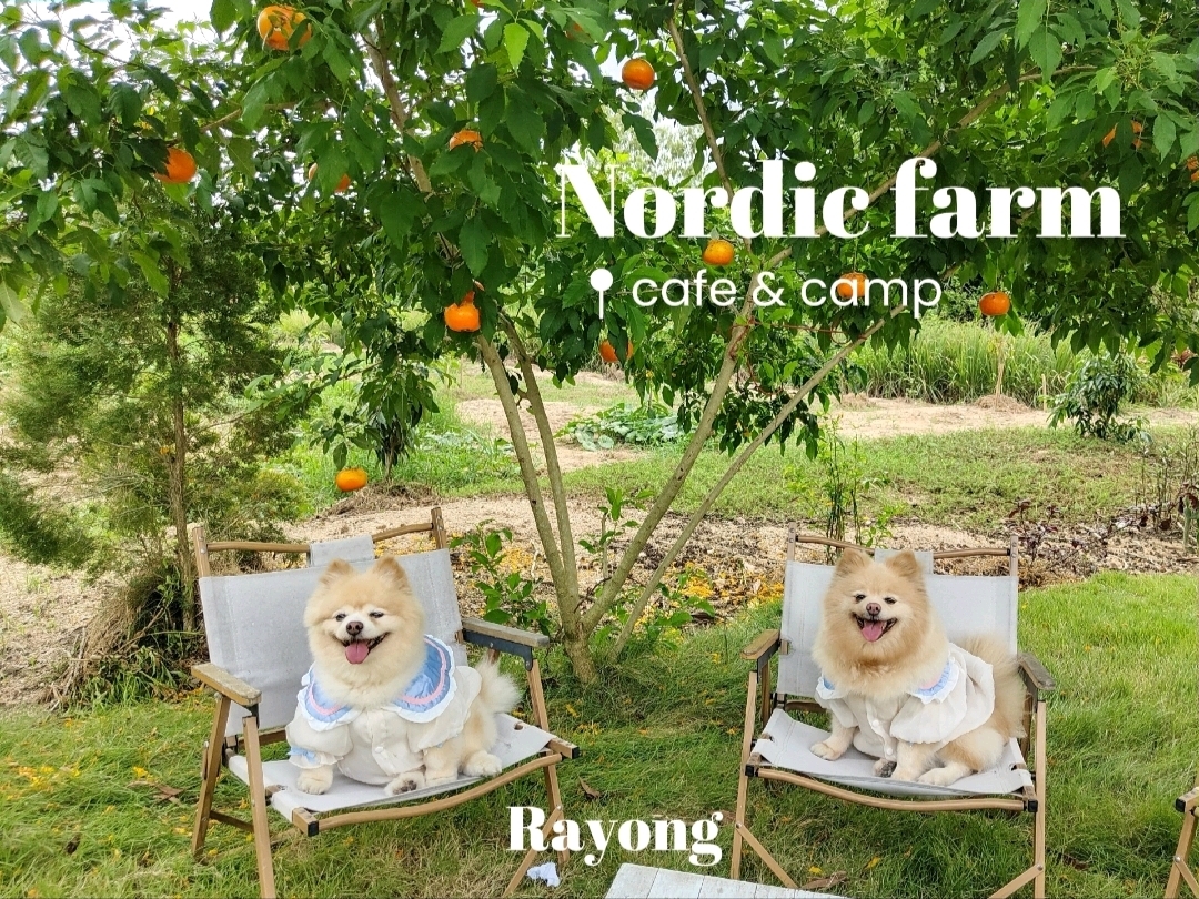 Things to Do in Map Yang Phon in 2024 - Top Attractions, Local Food ...