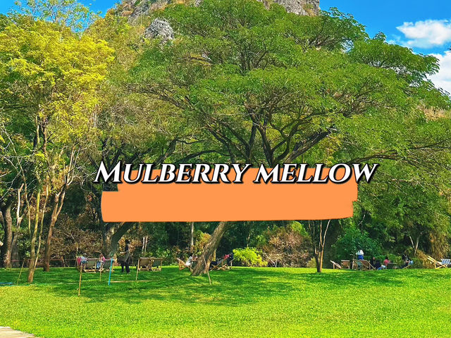 ร้าน mulberry mellow ที่เมืองกาญ | Trip.com กาญจนบุรี