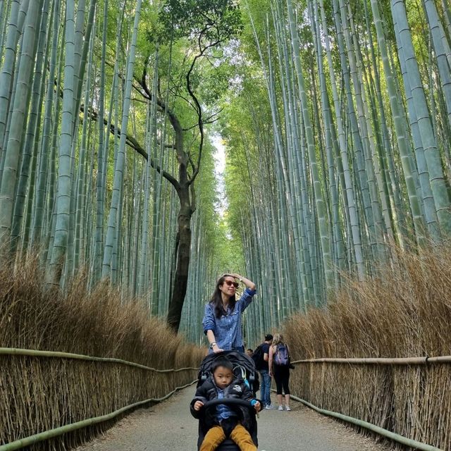 The Arashiyama Bamboo Forest | Trip.com Kyoto