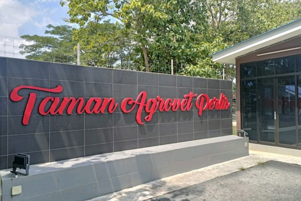 Ladang Burung Unta Perlis (Ostrich Farm | Trip.com Perlis