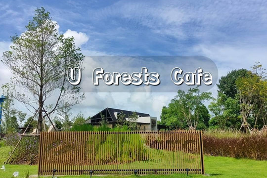 ร้านกาแฟชื่อดัง " U Forests Cafe 🍵☕️ | Trip.com จังหวัดระยอง