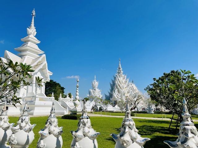 The serene landscapes of Chiang Rai. | Trip.com