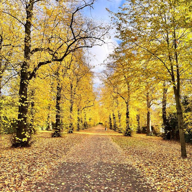 英國Norfolk Park 楓葉靚景｜Trip.com 謝菲爾德