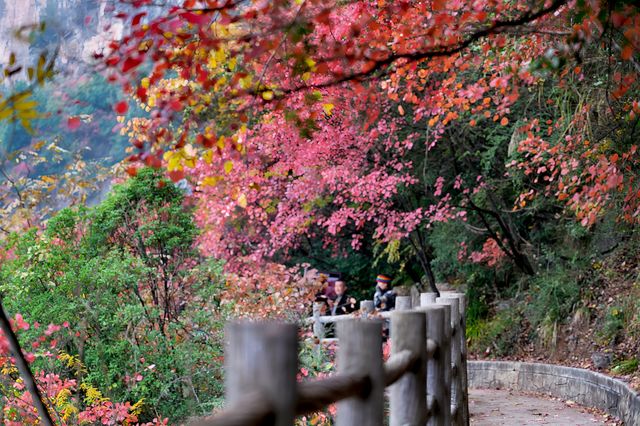 神女天路旅遊攻略｜Trip.com 巫山