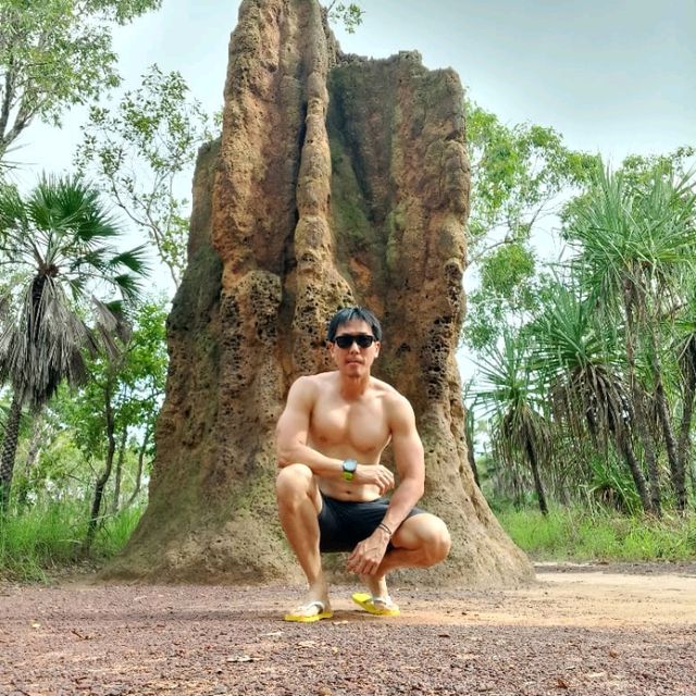 Get lost in the Darwin woods | Trip.com ดาร์วิน