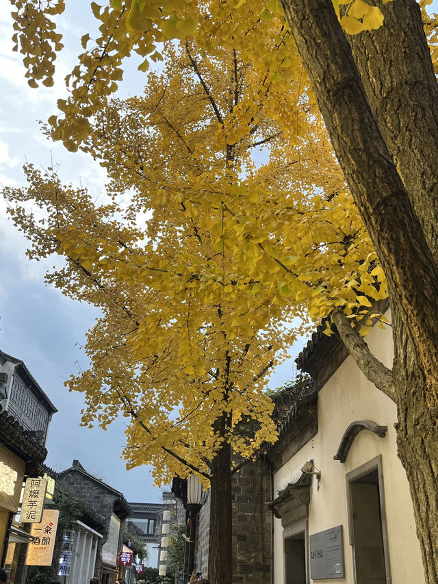 NANJING AUTUMN | Trip.com Nanjing