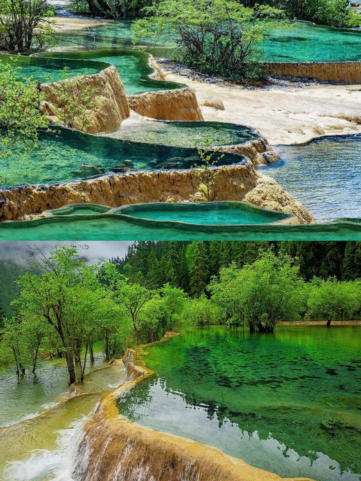 Things to Do in Wuqing District in 2025 - Top Attractions, Local Food ...
